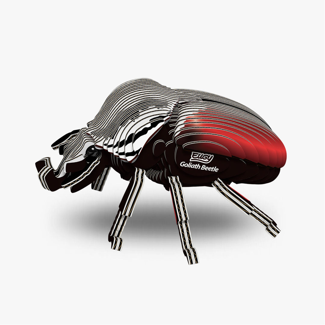 111 Goliath Beetle – EUGY