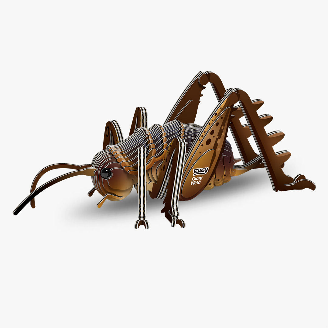 119 Giant Wētā – EUGY