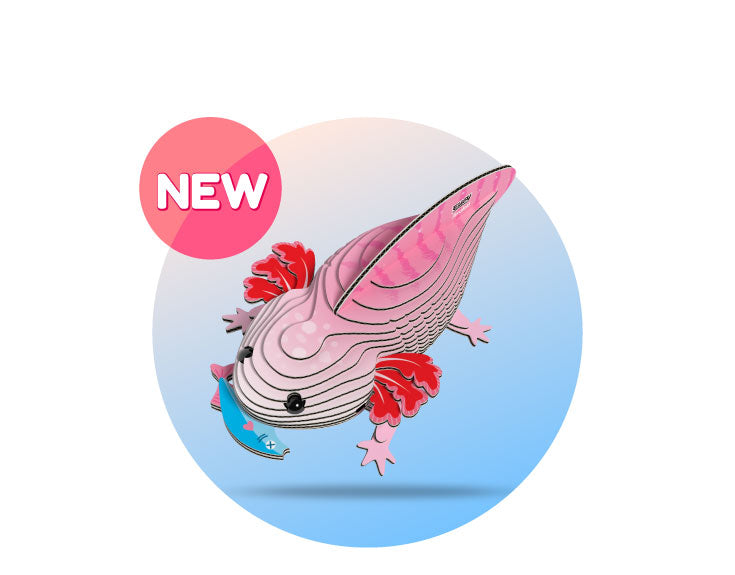 EUGY - Bring home your wild