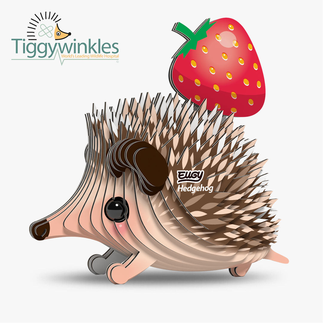 026 Hedgehog – EUGY