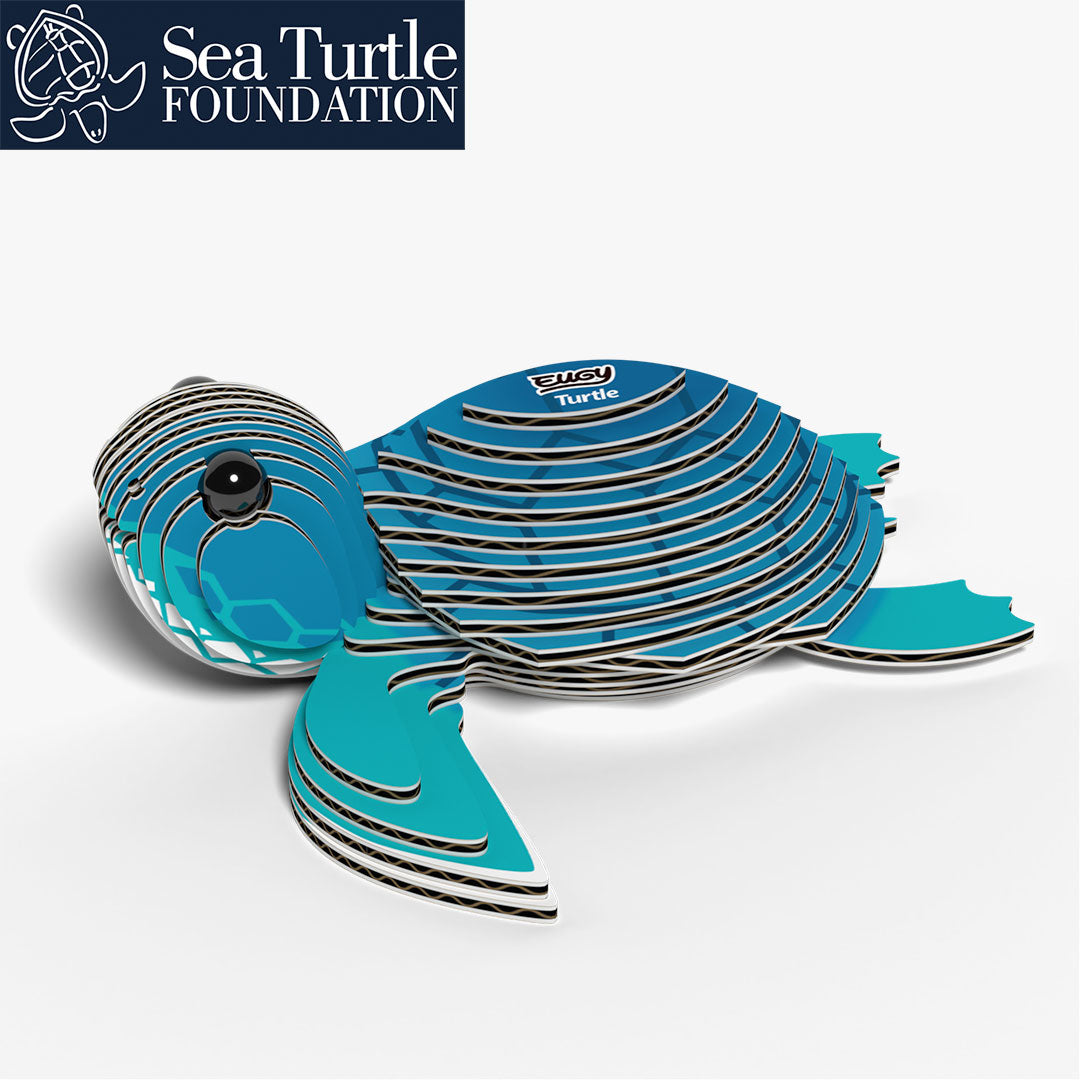 038 Turtle – EUGY