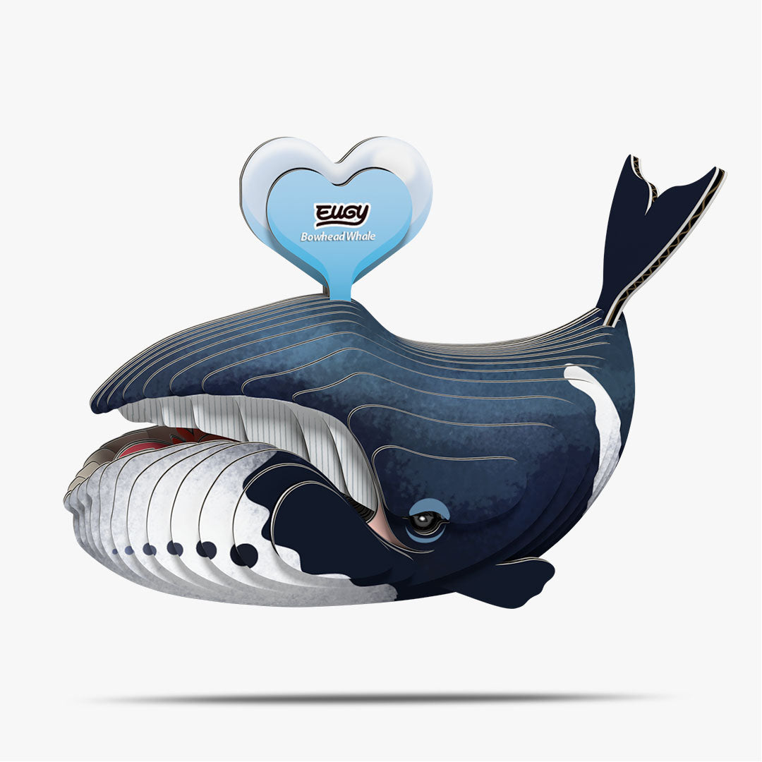 084 Bowhead Whale – EUGY