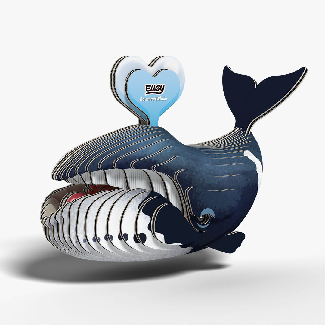 084 Bowhead Whale – EUGY