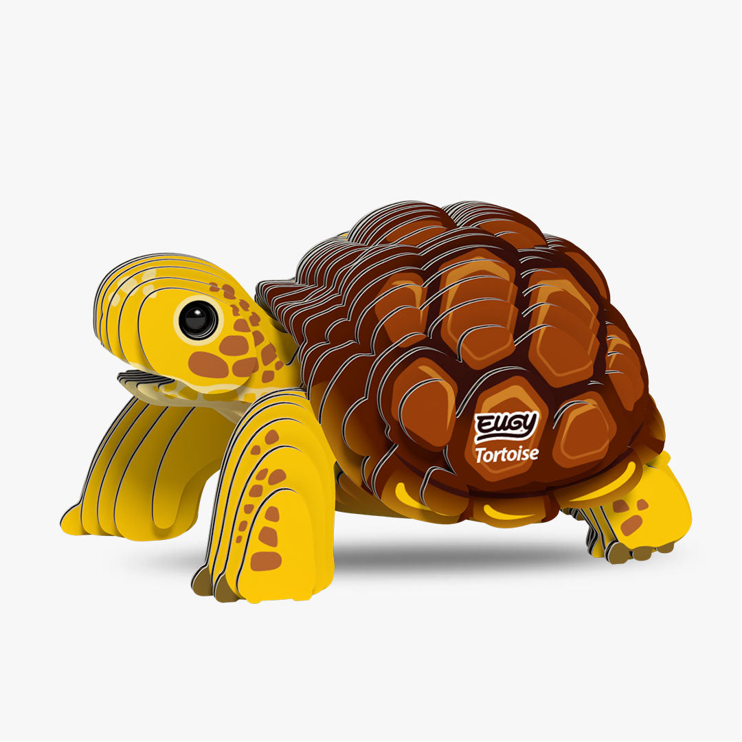 104 Tortoise – EUGY