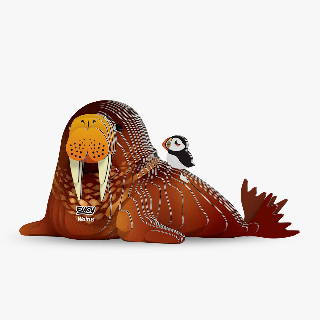 107 Walrus – EUGY