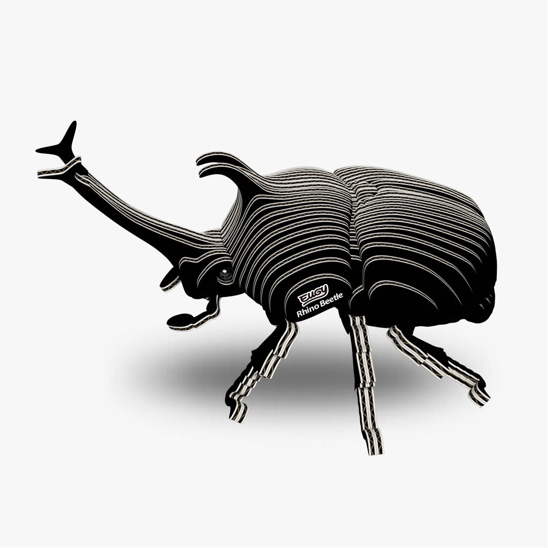 113 Rhino Beetle – EUGY
