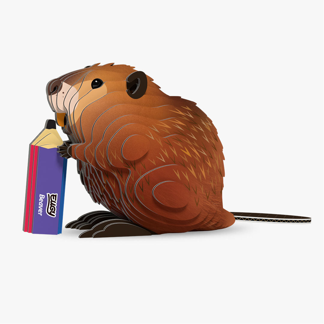 127 Beaver – EUGY